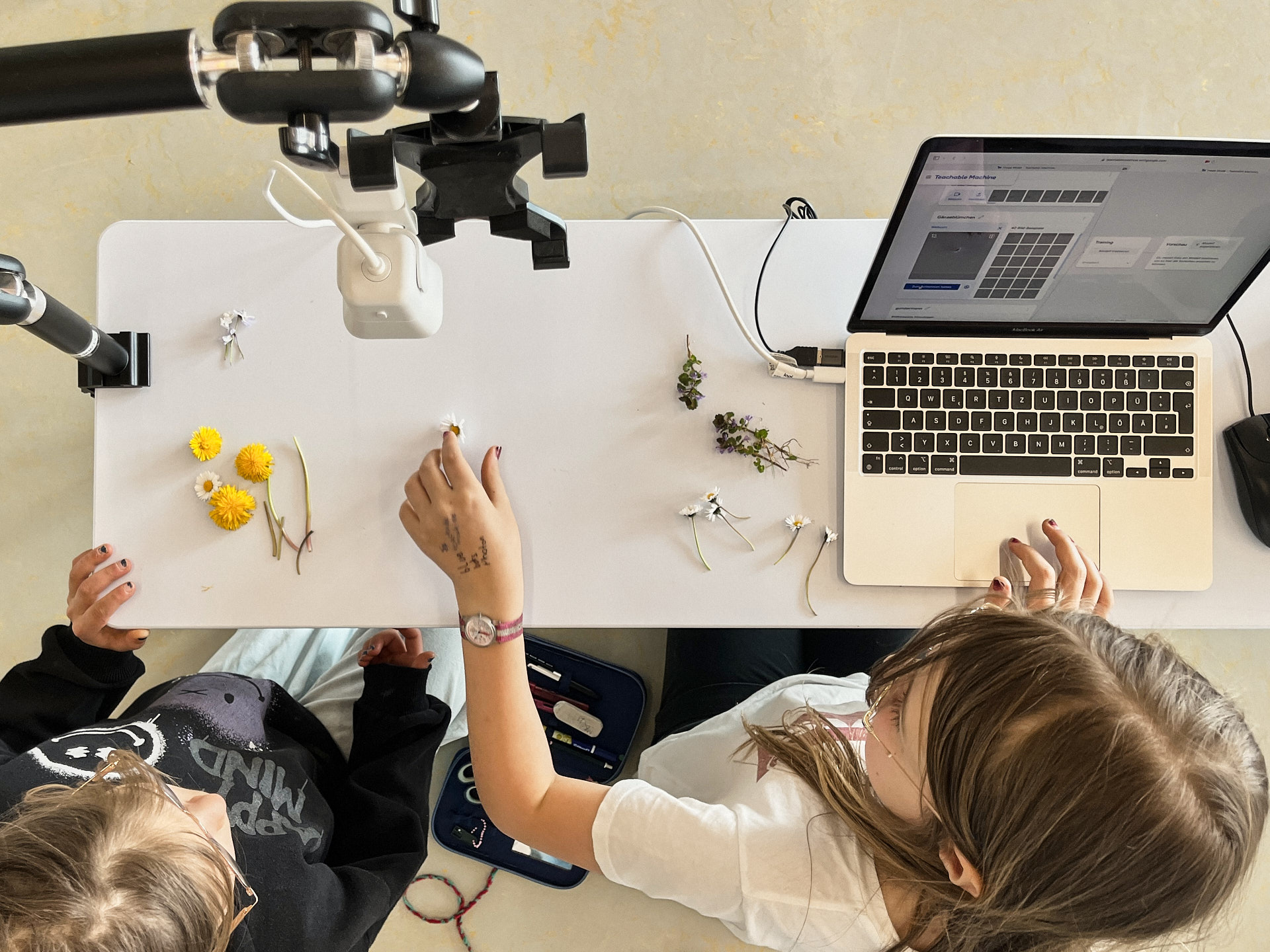 Maschinelles Lernen ohne Programmieren – Grundschulkinder trainieren ...