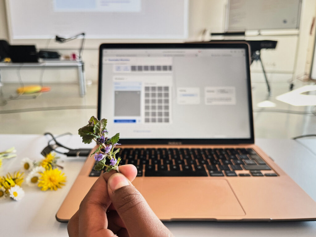 Maschinelles Lernen ohne Programmieren – Grundschulkinder trainieren ...